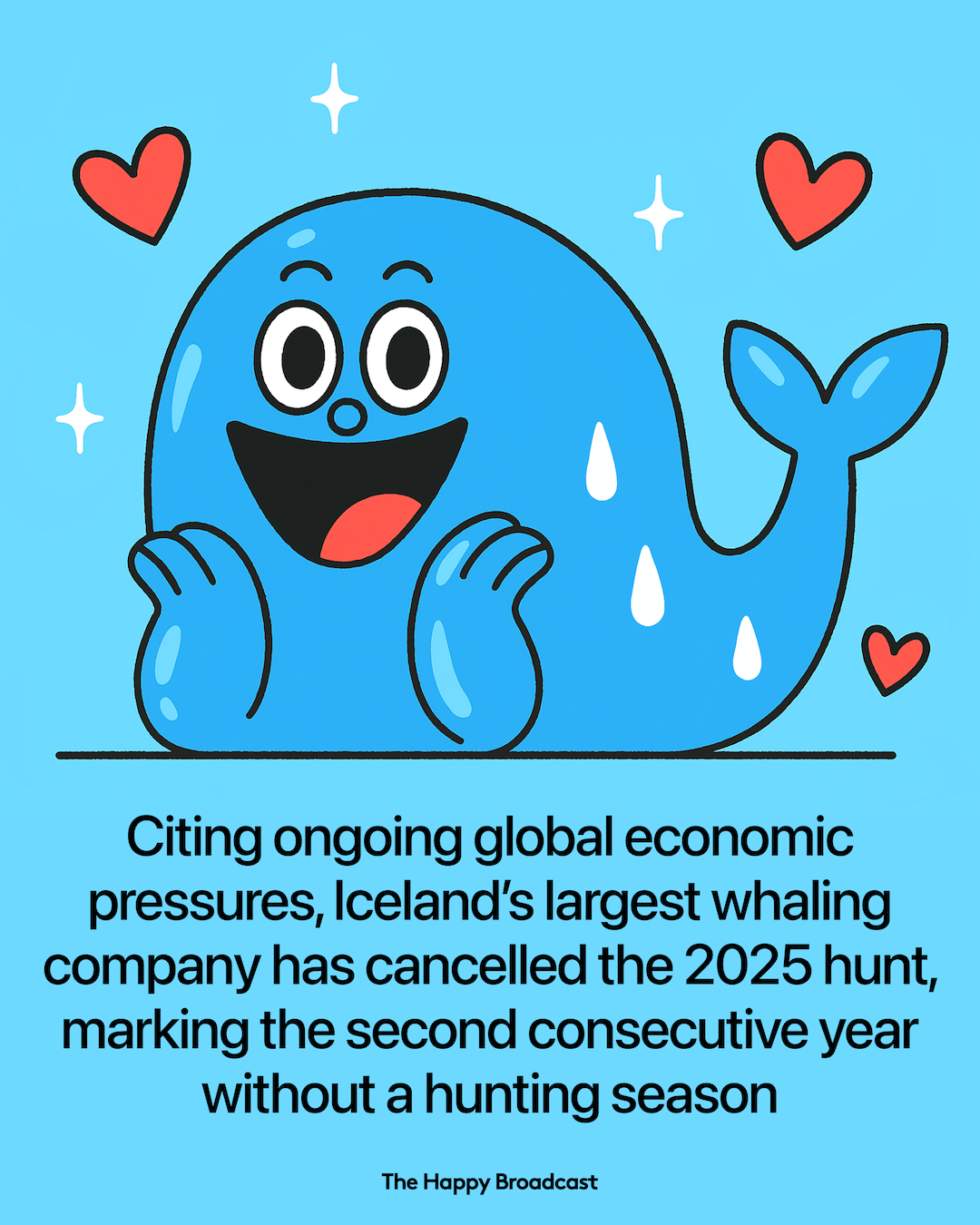 Iceland’s Largest Whaling Company Cancels 2025 Whaling Season